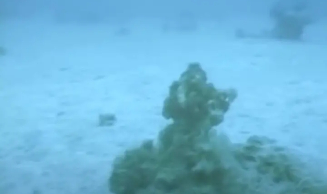 Scientists made terrifying discovery after finally reaching the bottom ...