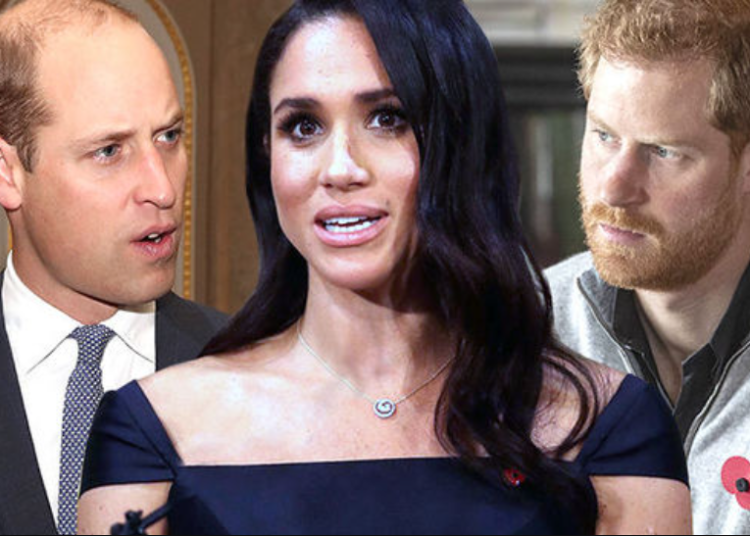 Prince Harry said Meghan Markle cried a lot after Prince William made a statement about them ...